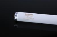 China T12/D65 Energy Efficiency Light Box Tubes 120cm With Simple Design for sale