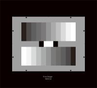 China Gray Scale Resolution Test Chart 11 Patches High Accuracy Silk / Sineimage YE0153 for sale