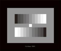 China Silk YE083 ITE Resolution Test Chart 11 Graduated Gray Scale For Electronic Cameras for sale