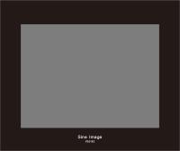 China Silk Resolution Test Chart Silk YE0182 18% Neutral Gray Card Reflectance 4/3 for sale