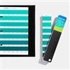 China Home Interiors Color Specifier Pantone Color Guide Set FHIP230A 2 Books Pack for sale