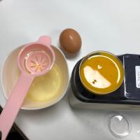 China 4mm Aperture Egg Yolk Color Difference Spectrophotometer for sale