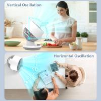 China Portable Desktop Air Circulating Fan 8.5x12 Inch With 3 Speeds for sale