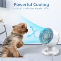 China Portable Desktop Air Circulating Fan 8.5x12 Inch With 3 Speeds for sale