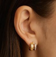 China 18K Gold and White Gold Shield Hoops Earrings for Women for sale