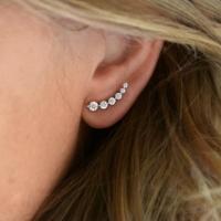 China Handmade White Cubic Zircon Crawler 925 Sterling Silver Stud Earrings Rose Gold Plated for sale