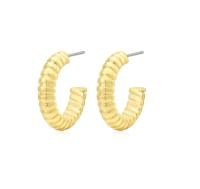 China Textured Snake Chain Hoop Earring in 925 Sterling Silver for Girls' Accessory Box for sale