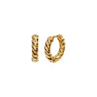 China 18K Gold Statement Hoop Earrings Statement 925 Sterling Silver Earrings for sale