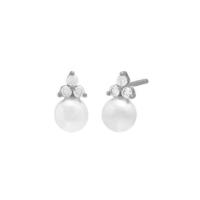 China 925 Sterling Silver AAAA Grade Gold Plated Freshwater Pearl Stud Earrings with Diamond Studs for sale