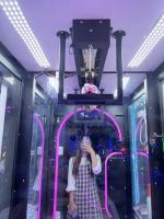China Dreamland Coin Operated Prize Crane Machine 80x74x220cm CE Certified Arcade Game for sale