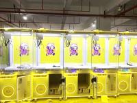 China Dreamland Mini Super Claw Crane Machine 85x80x195cm CE Certified Arcade Toy Prize Machine for sale