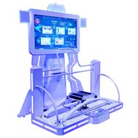 China 9D VR Ski Simulator 55 Inch LCD Screen Metal Frame Indoor Commercial Use Intelligent Somatosensory for sale