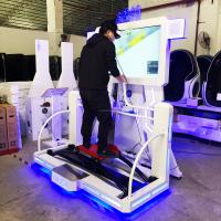 China 9D VR Ski Simulator 55 Inch LCD Screen Metal Frame Indoor Commercial Use Intelligent Somatosensory for sale