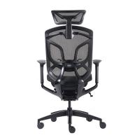 China Ergonomic Office Chair With Adjustable Seat Depth  Ergo Sit High Back Mesh Chair for sale