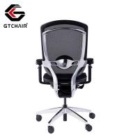 China GTCHAIR Marrit X Mesh Adjustable Office Chair Mid Back Ergonomic Computer for sale