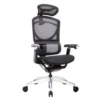 China GTCHAIR Ergonomic Mesh Office Chairs Executive Comfortable Computer for sale