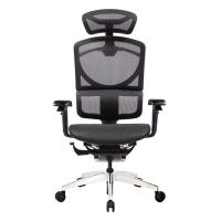 China GTCHAIR Ergonomic Mesh Office Chairs Executive Comfortable Computer for sale