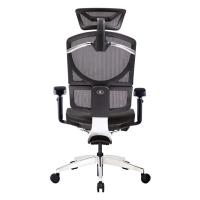 China GTCHAIR Ergonomic Mesh Office Chairs Executive Comfortable Computer for sale