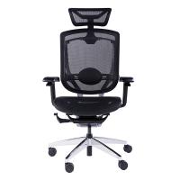 China GTCHAIR Marrit X Lumbar Support Ergonomic Chair High Back Mesh Office Chair for sale