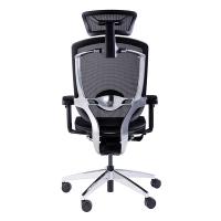 China GTCHAIR Marrit X Lumbar Support Ergonomic Chair High Back Mesh Office Chair for sale