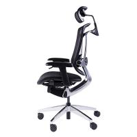 China GTCHAIR Marrit X Lumbar Support Ergonomic Chair High Back Mesh Office Chair for sale