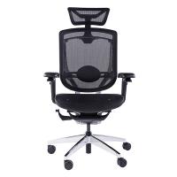 China GTCHAIR Marrit X Computer Task Chairs Ergonomic High Back Mesh Executive With Headrest for sale