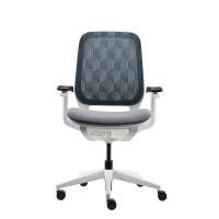 China Mesh Ergonomic Office Computer Chair Mid Back PA Castors for sale