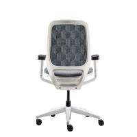 China Mesh Ergonomic Office Computer Chair Mid Back PA Castors for sale