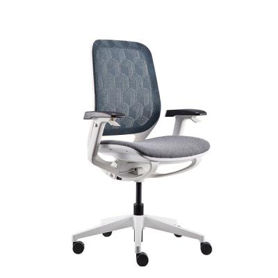 China Mesh Ergonomic Office Computer Chair Mid Back PA Castors for sale