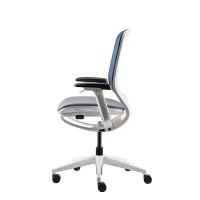 China Mesh Ergonomic Office Computer Chair Mid Back PA Castors for sale