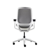 China N7 Mesh Ergo Swivel GT Chair Used Staff Office 3D Support for sale