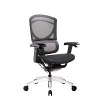 China Polished Mesh Ergo Office Chair With Adjustable Depth Ergonomic for sale