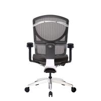 China Polished Mesh Ergo Office Chair With Adjustable Depth Ergonomic for sale