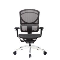 China Polished Mesh Ergo Office Chair With Adjustable Depth Ergonomic for sale