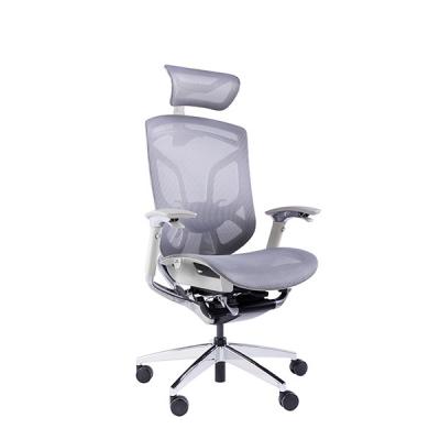 China Mesh Back Swivel Office Task Chair Dvary X Ergonomic With Armrest for sale