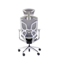 China Mesh Back Swivel Office Task Chair Dvary X Ergonomic With Armrest for sale