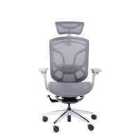 China Mesh Back Swivel Office Task Chair Dvary X Ergonomic With Armrest for sale