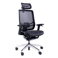 China Inflex X Adjustable Ergonomic Swivel Office Chair With Head Rest Lumbar Support for sale