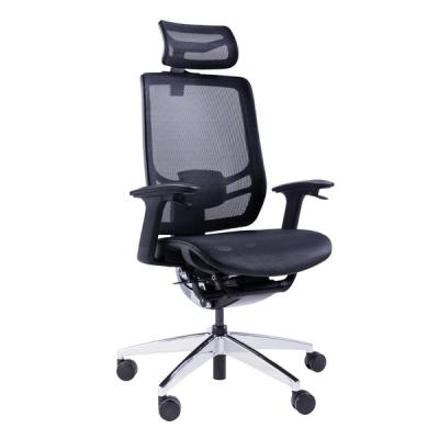 China Inflex X Adjustable Ergonomic Swivel Office Chair With Head Rest Lumbar Support for sale