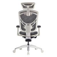 China High Back Executive Mesh Office Chair With Headrest Polished Aluminum for sale