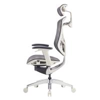 China High Back Executive Mesh Office Chair With Headrest Polished Aluminum for sale