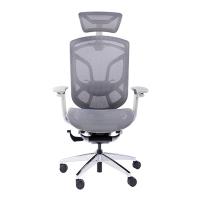 China Ergonomic Swivel Grey Mesh Back Task Chair With 3D Armrest And Lumber Support for sale