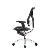 China Vida X Mesh Ergonomic Executive Chair Office With Lumbar Support for sale