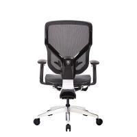 China Vida X Mesh Ergonomic Executive Chair Office With Lumbar Support for sale