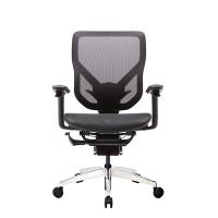 China Vida X Mesh Ergonomic Executive Chair Office With Lumbar Support for sale