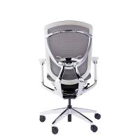 China IFIT Black Ergonomic Desk Chair With Lumbar Support Adjustable Tilting Mesh Swivel for sale