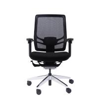 China Premium Ergonomic Office Chair Ergo Swivel Staff Mesh Lumbar Support Esports Gaming for sale
