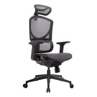 China ISEE X Ergonomic Office Chair With Lumbar Support Computer Revolving for sale