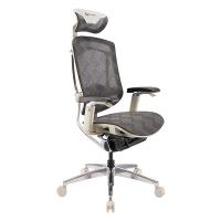 China GT Grey Frame Ergonomic Office Chair Swivel Relax Design 5D Paddle Shift for sale