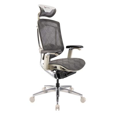 China GT Grey Frame Ergonomic Office Chair Swivel Relax Design 5D Paddle Shift for sale